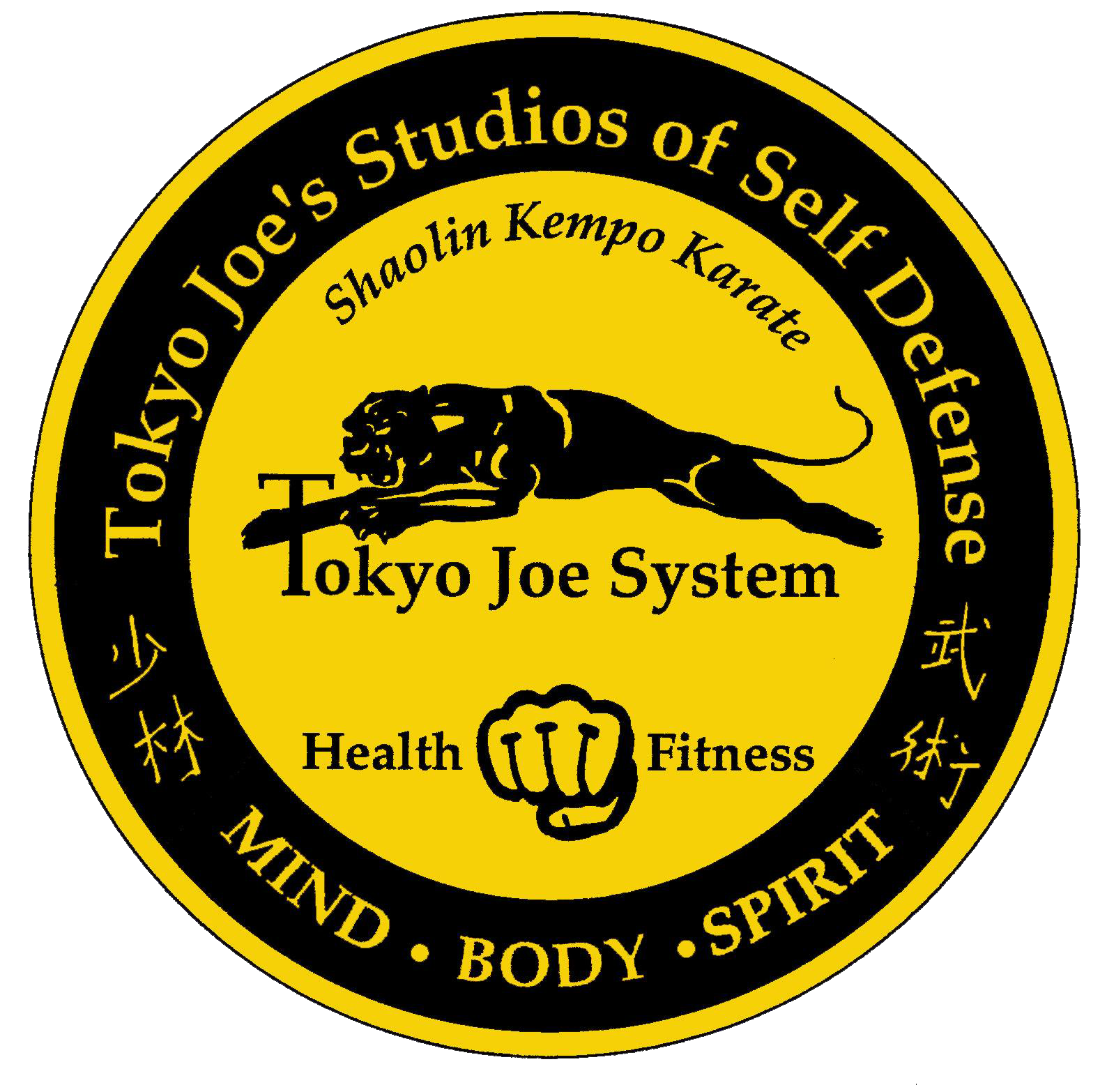 MAT Action | Tokyo Joe's Studios of Self Defense