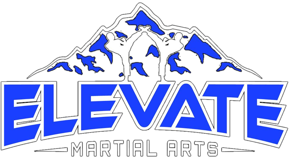 MAT Action | Elevate Martial Arts